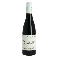 Saint Nicolas de Bourgueil AUDEBERT Demi Bouteille
