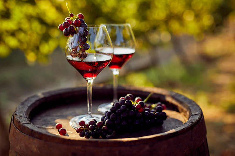 Calais Vins un caviste de 800m² a découvrir choix qualité conseil vins ...