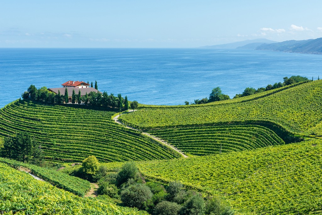Influence des mers et océans sur Vins, Rhums, Cognacs ou Whiskies